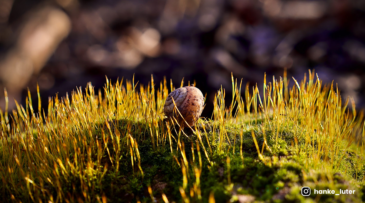 Optimized for reading with sidebar - Only The Best